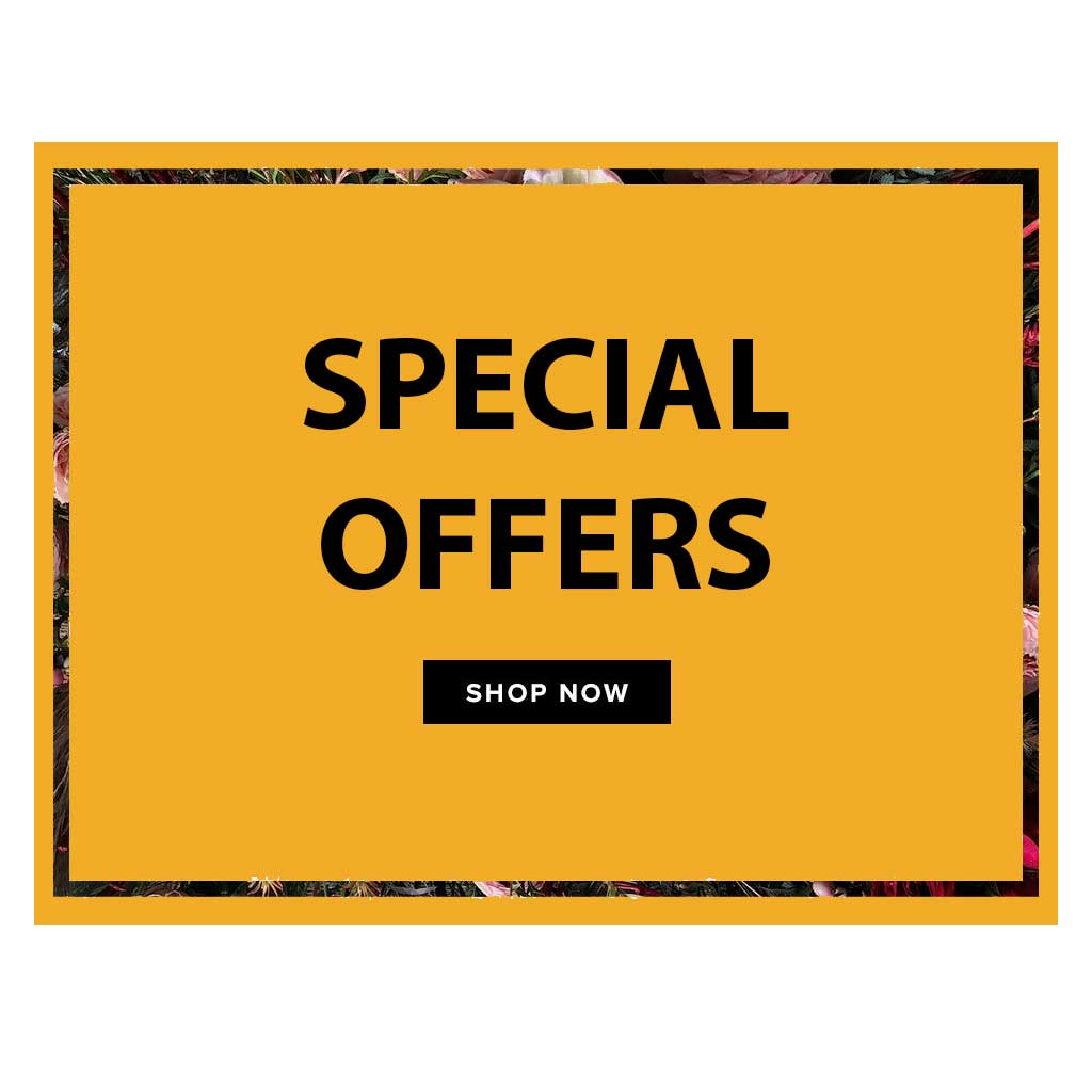 Special Offers – Amsons.co